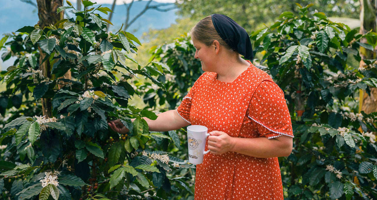 About Us – Mama Java